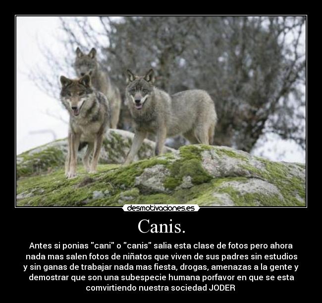 Imágenes y Carteles de CATEL | Desmotivaciones